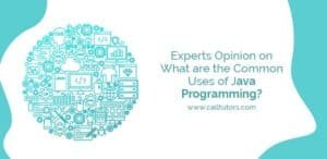 Experts Opinion on What are the Common Uses of Java Programming?